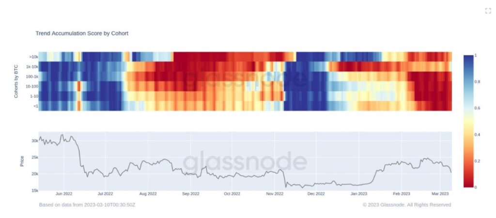 Bitcoin whales are the first cohort to start accumulating below $20k ...
