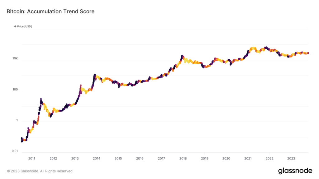 Bitcoin accumulation hits highest level since July, signaling bullish ...