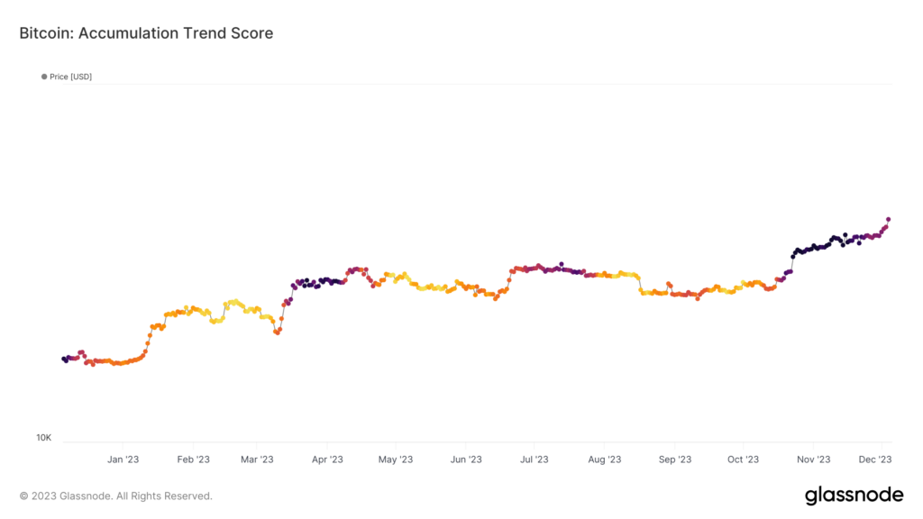 Bitcoin whales resume accumulation, signaling confidence in market ...
