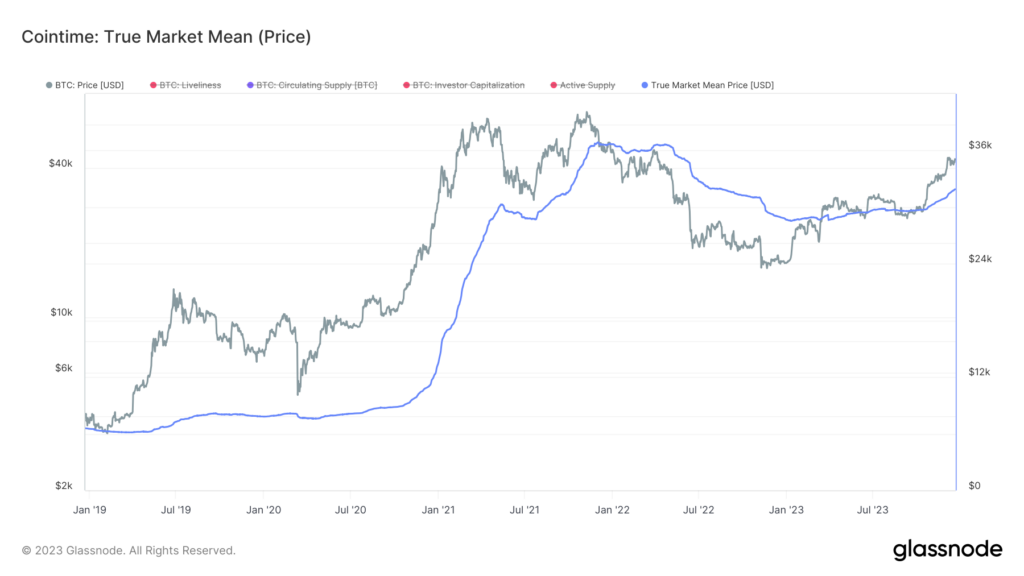 Realized price and true market mean: Understanding Bitcoin's key cost ...