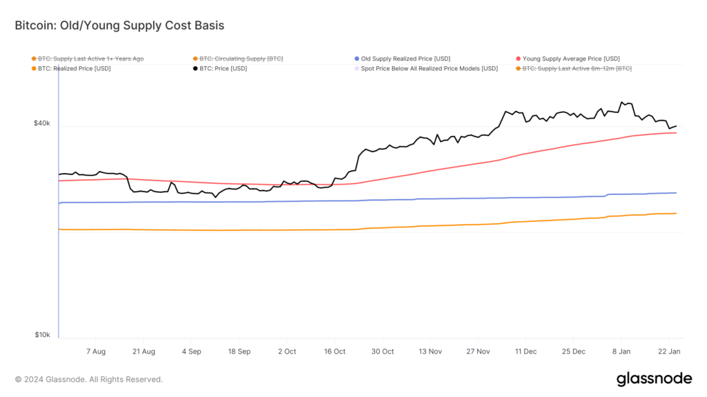 Bitcoin's realized price by 'young supply' underpins recent price support