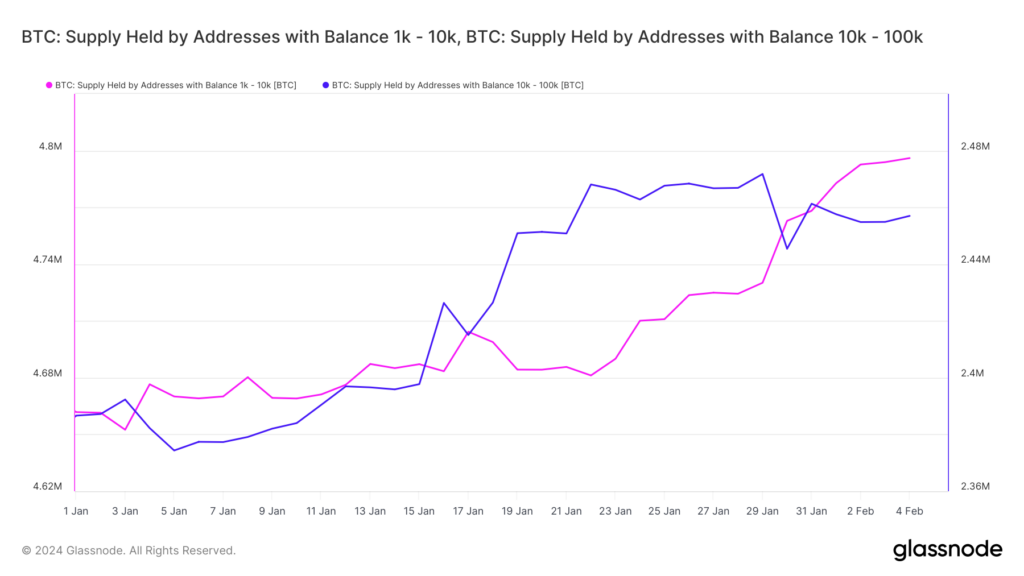 How ETFs affected Bitcoin's supply distribution across cohorts