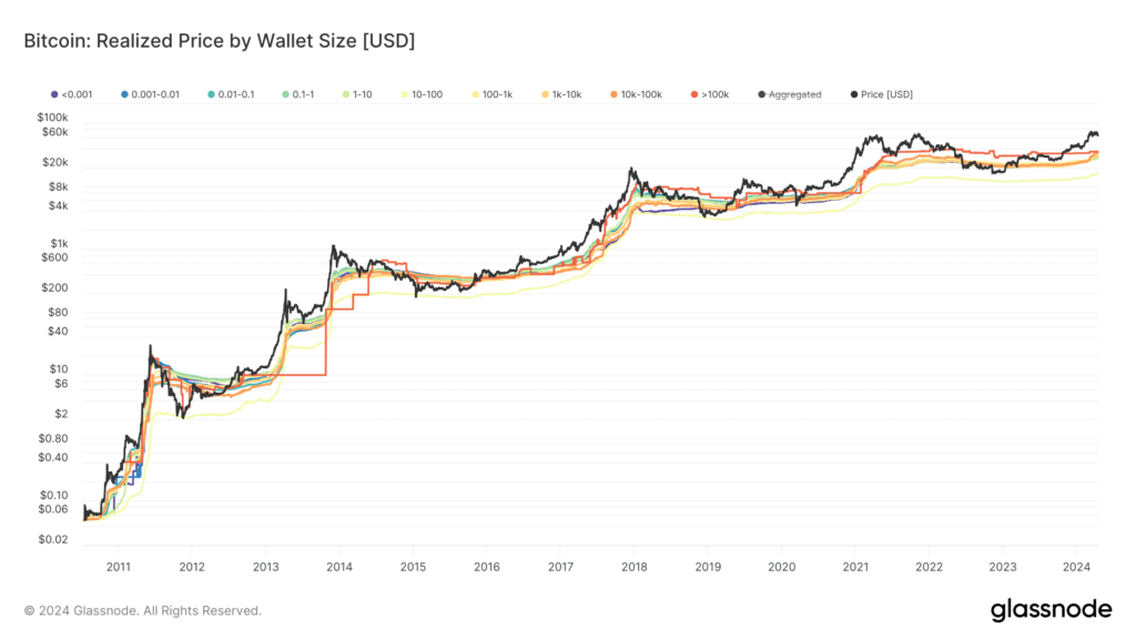 OG Bitcoin holders or 'King' Fish retain $15k cost basis after buying ...