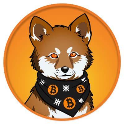 LOBO•THE•WOLF•PUP price today, LOBO to USD chart, marketcap and volume ...