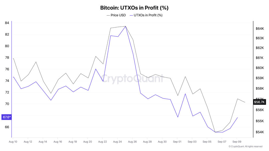 Bitcoin price stabilizes but profitability gap points to unease