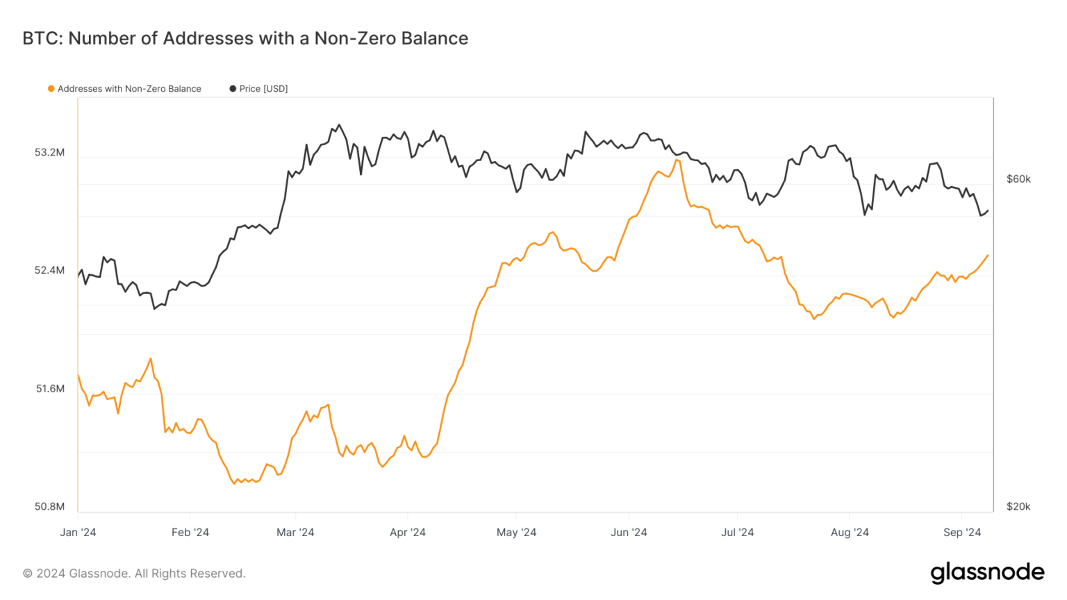 Bitcoin addresses with non-zero balances climb over 50 million in 2024 ...