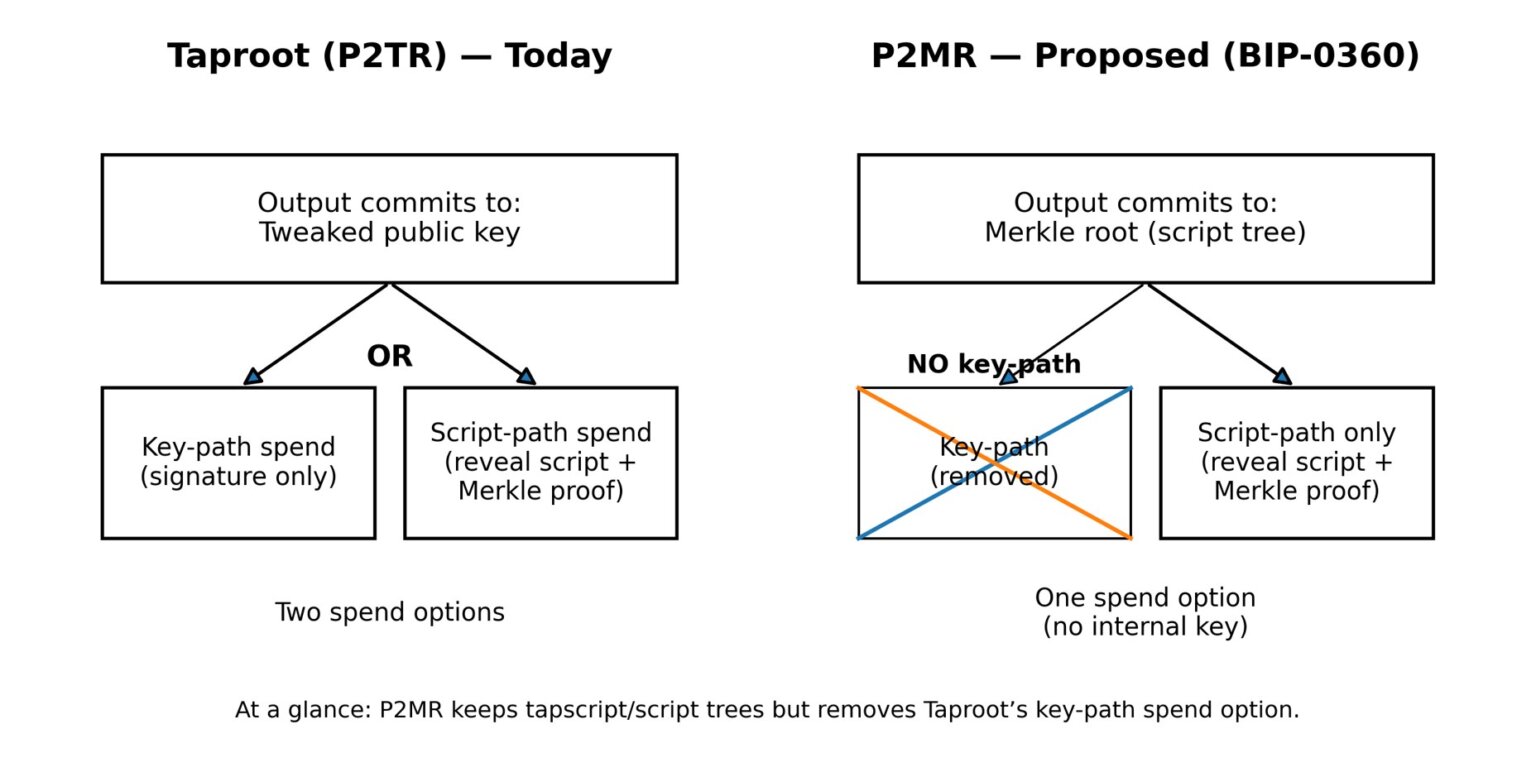 This “quantum-safe” Bitcoin idea removes Taproot’s key-path — and ...